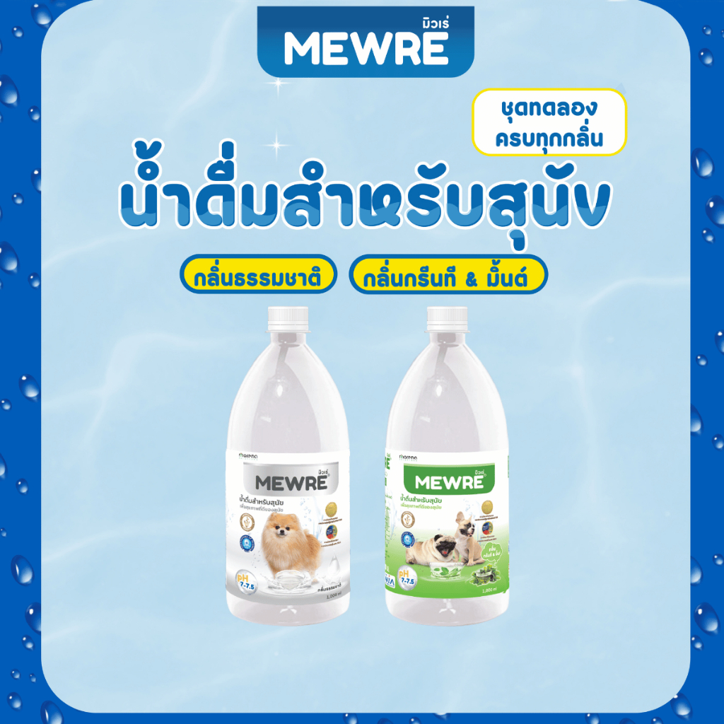 MEWRE น้ำดื่มสำหรับสุนัขกลิ่นธรรมชาติ และกลิ่นกรีนทีมิ้นท์ ขนาด 1,000 ML (MD1000 *1 + D1000 *1 ...