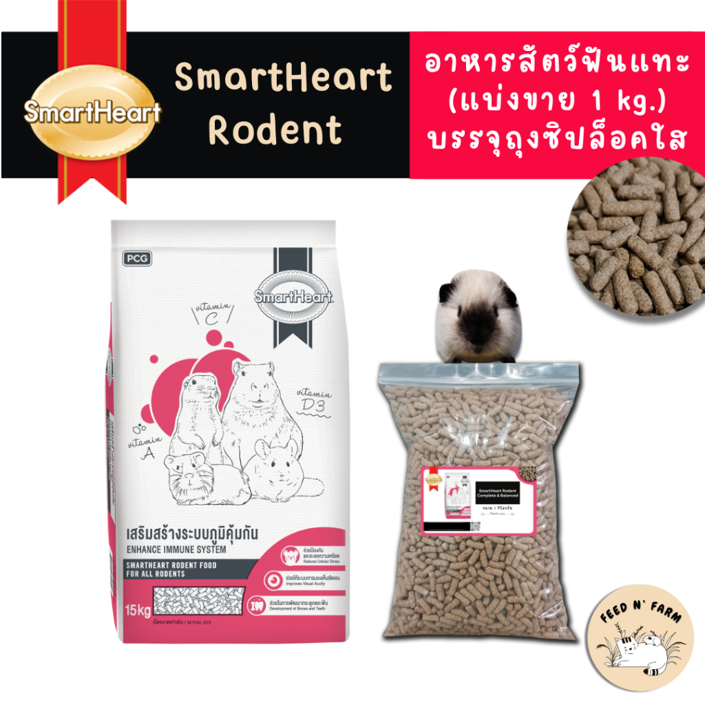 (แบ่งขาย 1 kg./3 kg.) SmartHeart Rodent อาหารสัตว์ฟันแทะ แกสบี้ หนู ...