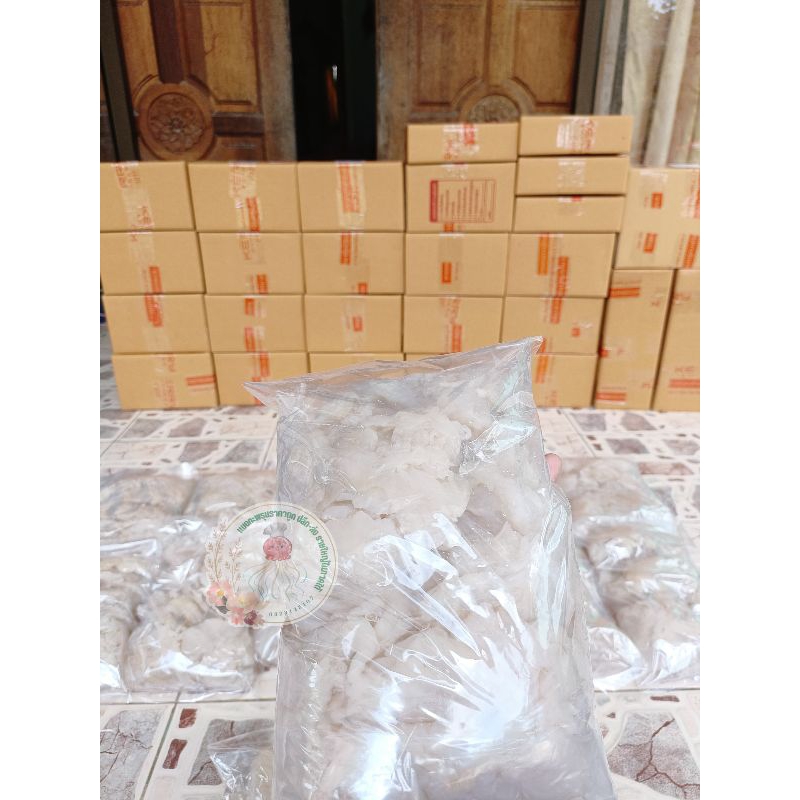 เเมงกะพรุนหัวรวมขา คัดเกรดAAA แบบจืด500g | Shopee Thailand