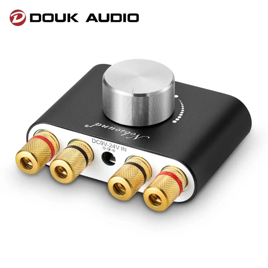 Douk Audio Mini Bluetooth 5.0 Digital Amplifier NS-01G Hi-Fi Stereo ...