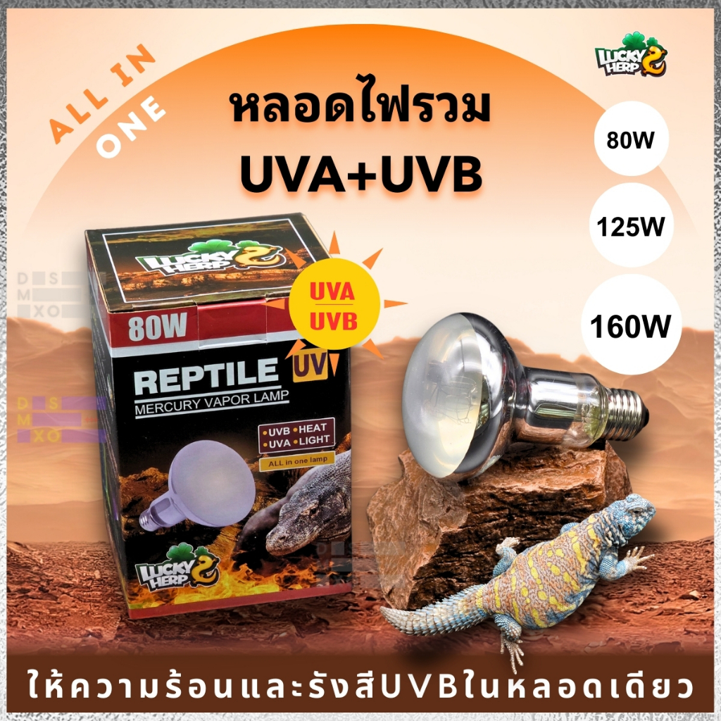ส่งด่วน! Lucky Herp Reptile UV Mercury Vapor Lamp หลอดไฟรวม UVA+UVB ครบในหลอดเดียว จำลองสภาพแดด ...