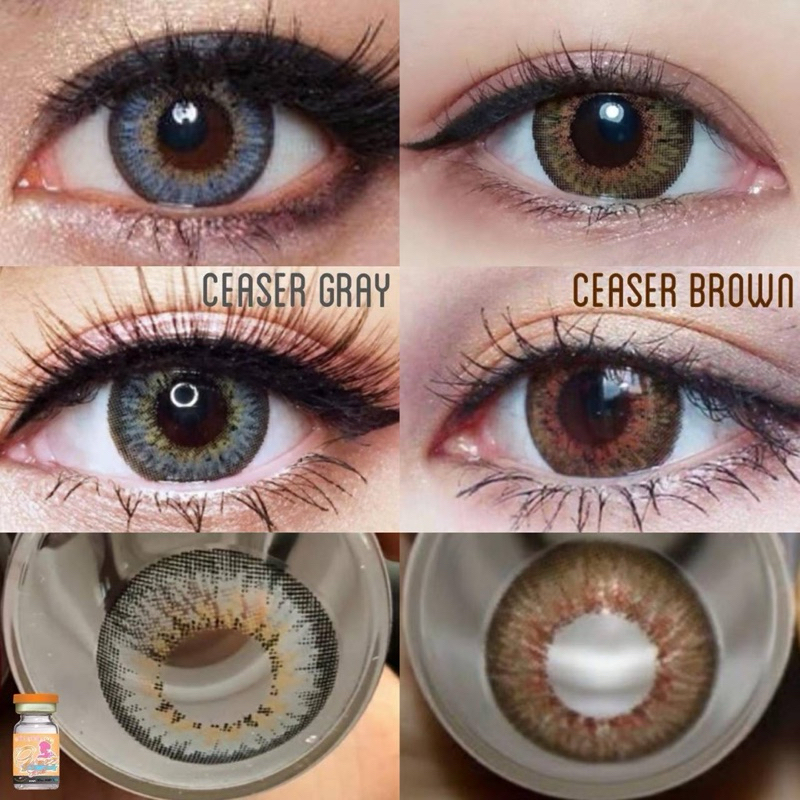 CEASER(Puffy) GRAY-BROWN (ซีเซอร์ (ฟัพพี่) เทา-น้ำตาล) GAEZz | Shopee Thailand