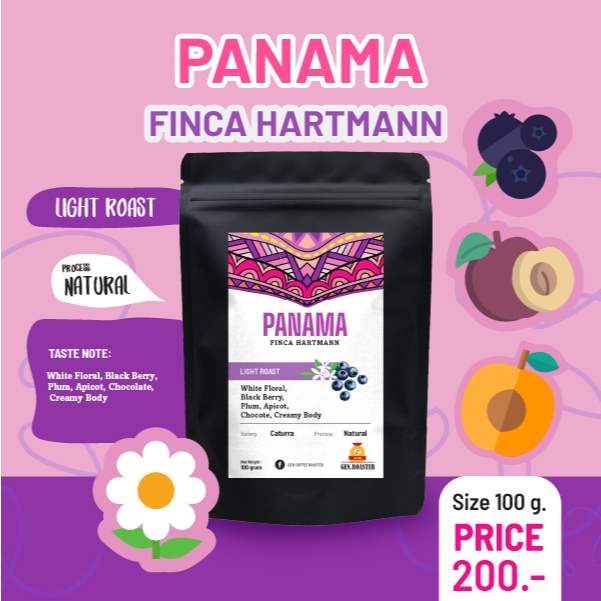 เมล็ดกาแฟคั่วอ่อน Panama Finca Hartman Light Roast หอมหวาานดอกไม้สีขาว ...