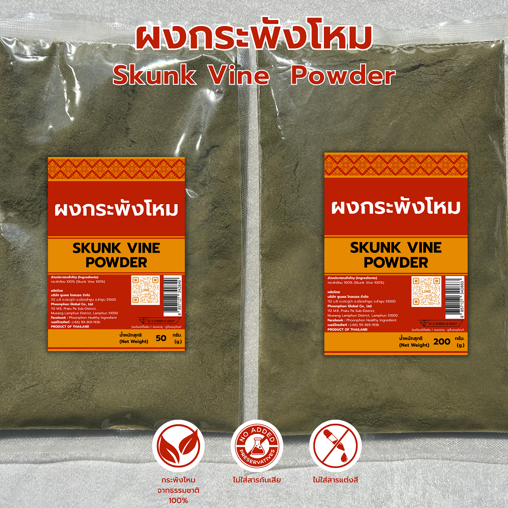 ผงกระพังโหม 50กรัม / 100กรัม มีอย. ปลอดภัยต่อผู้บริโภค Skunk Vine ...