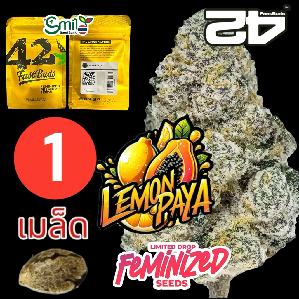 เมล็ดกัญชา LemonPaya (Fem) Limited ใหม่* - Fastbuds | Shopee Thailand