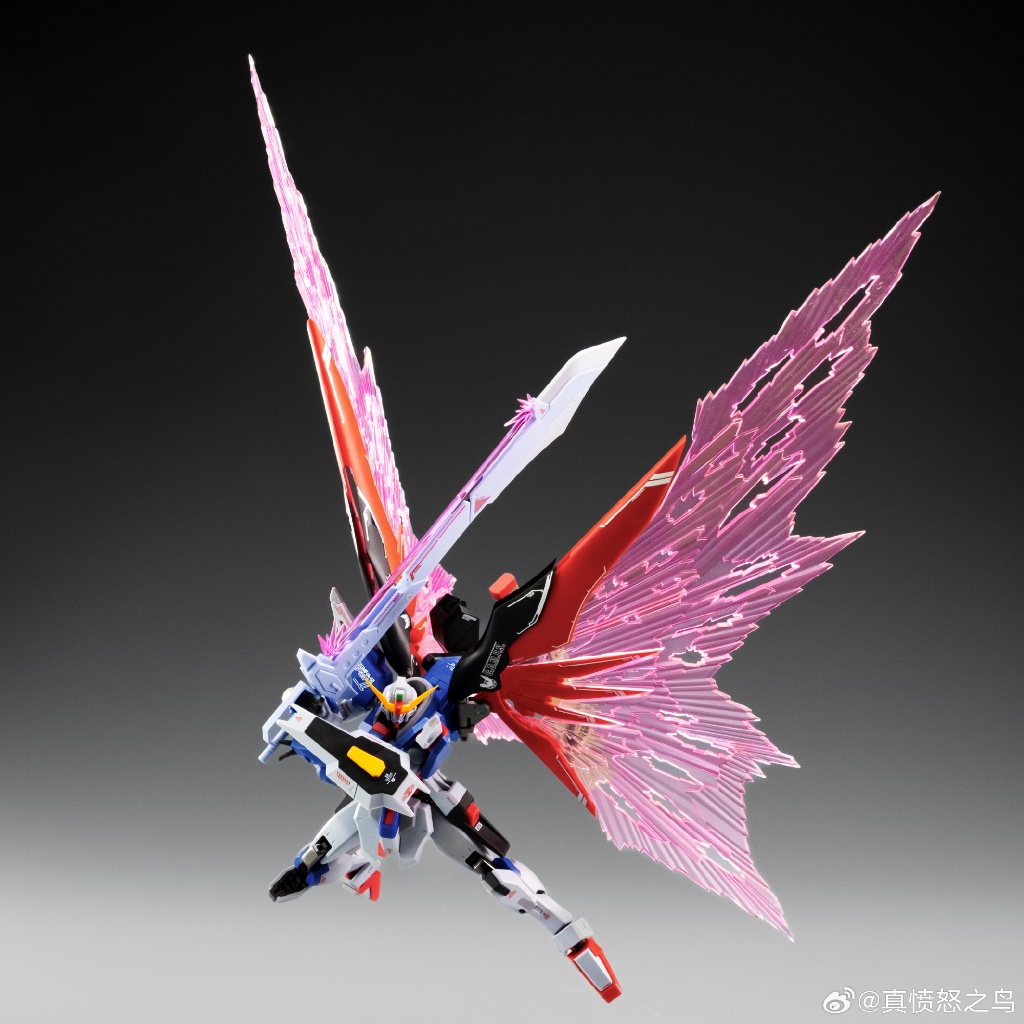 1/144 Destiny + Wing of Lights MRS Ver. [Real Angry Bird) | Shopee Thailand