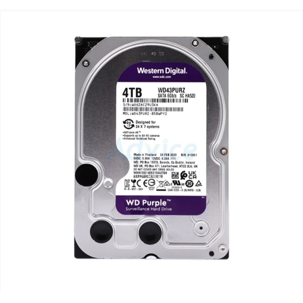WD Purple HDD 4TB WD43PURZ 5400RPM | Shopee Thailand