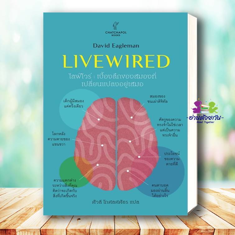 หนังสือ Livewired ไลฟ์ไวร์: เบื้องลึกของสมองที่เปลี่ยนแปลงได้ตลอดเวลา ผู้เขียน David Eagleman ...
