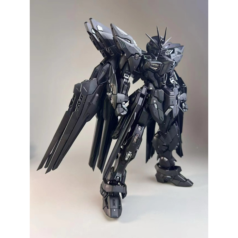 MGEX 1/100 Strike Freedom Midnight Coating [Wujin] | Shopee Thailand