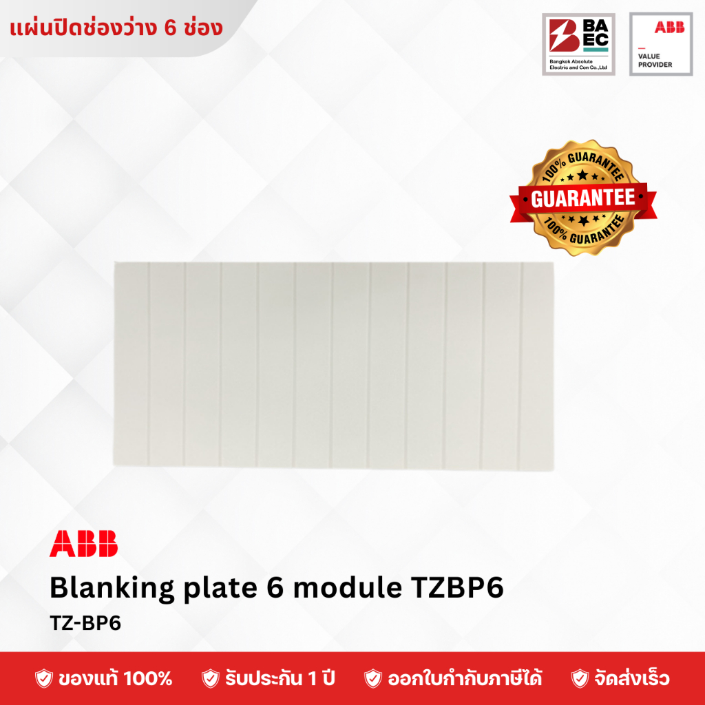 ABB Blanking plate 6 module TZBP6 แผ่นปิดช่องว่าง ขนาด 6 ช่อง | Shopee ...
