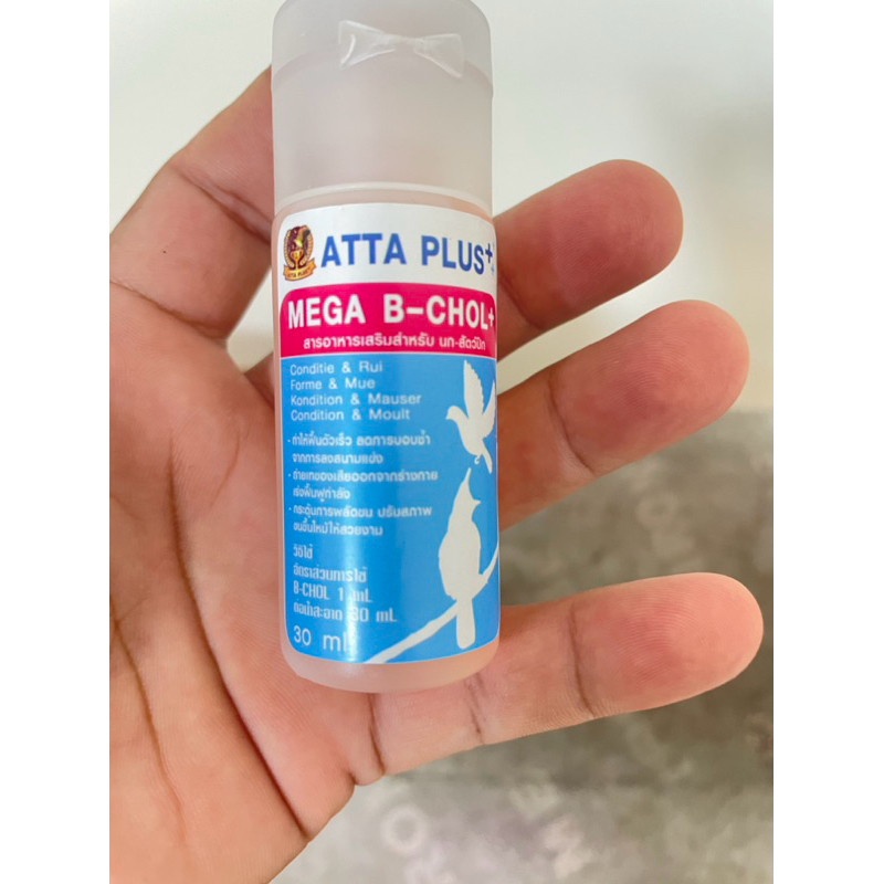 วิตามินนก Atta Plus B-Chol ขนาด 30 cc | Shopee Thailand