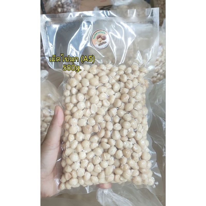 แมคคาเดเมีย เม็ดไข่มุก(A5) 500g | Shopee Thailand
