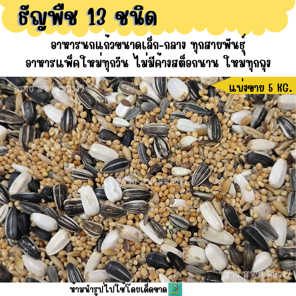 (5 KG./10 KG.) ธัญพืช 13 ชนิด อาหารนก แก้วขนาดเล็ก-กลางทุกสายพันธุ์ | Shopee Thailand