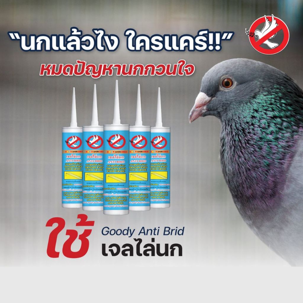 เจลไล่นก Anti Birds by Goody แค่ป้ายก็จบ หมดปัญหานกกวนใจ | Shopee Thailand