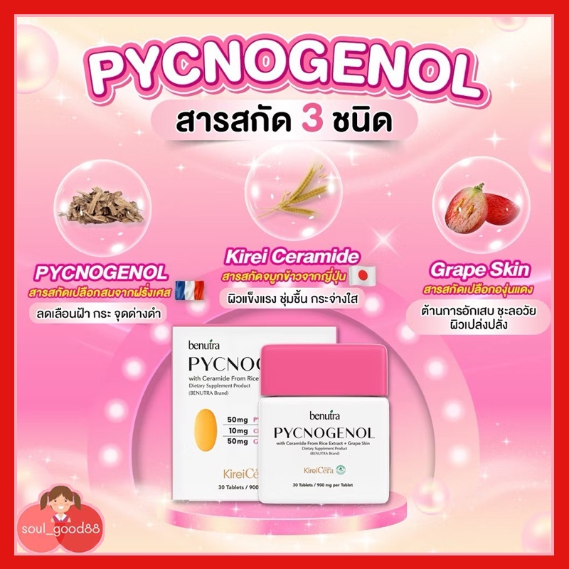 Benutra Pycnogenol Ceramide + Grape Skin บีนูทร่า พิกโนจีนอล วิท เซราไ ...