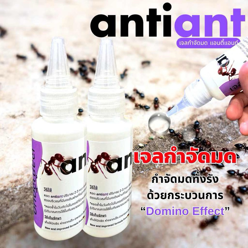โปร2ขวด ขวดละ50g. เจลกำจัดมดแอนตี้แอนด์ Anti Ant | Shopee Thailand