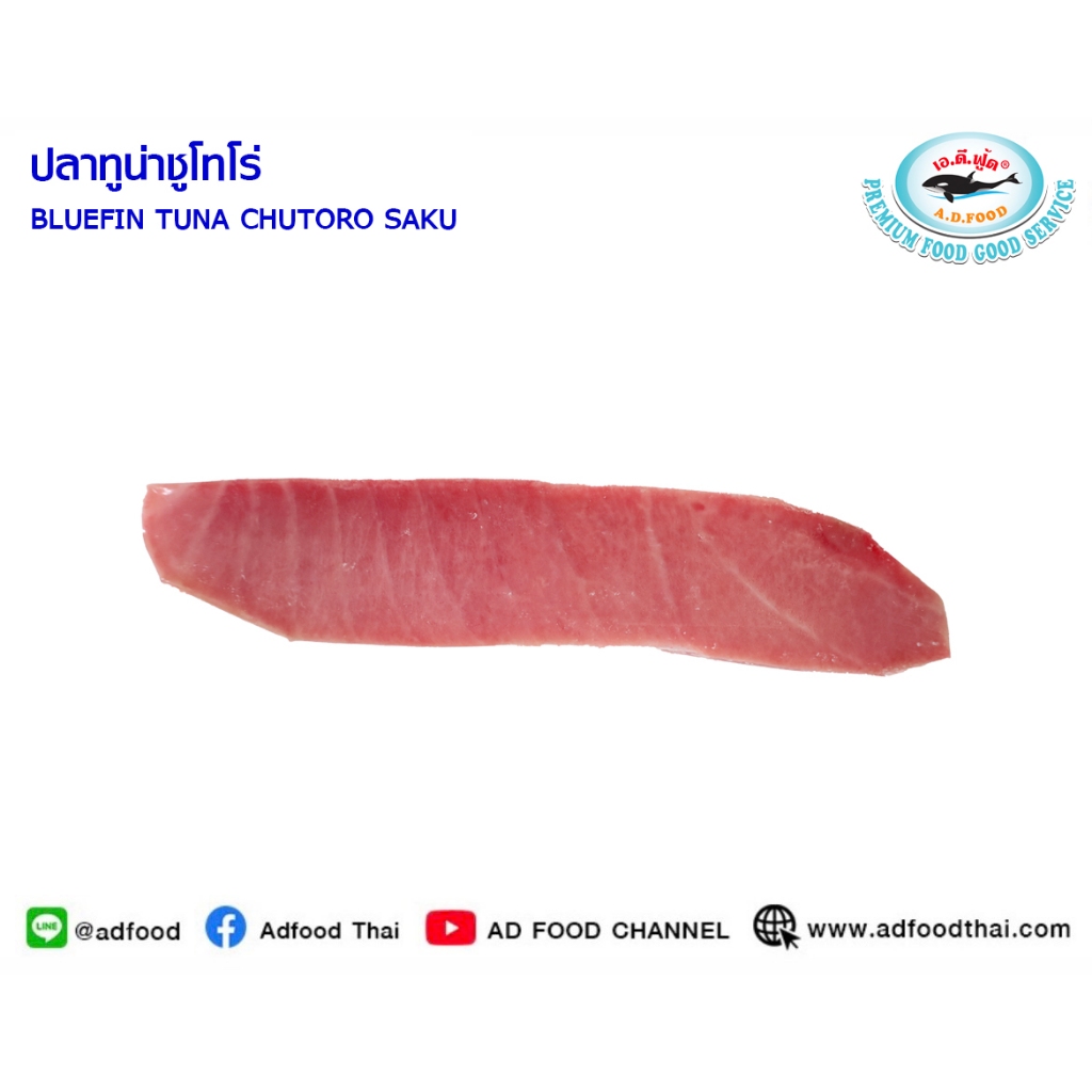 ปลาทูน่าชูโทโร่ BLUEFIN TUNA CHUTORO SAKU | Shopee Thailand