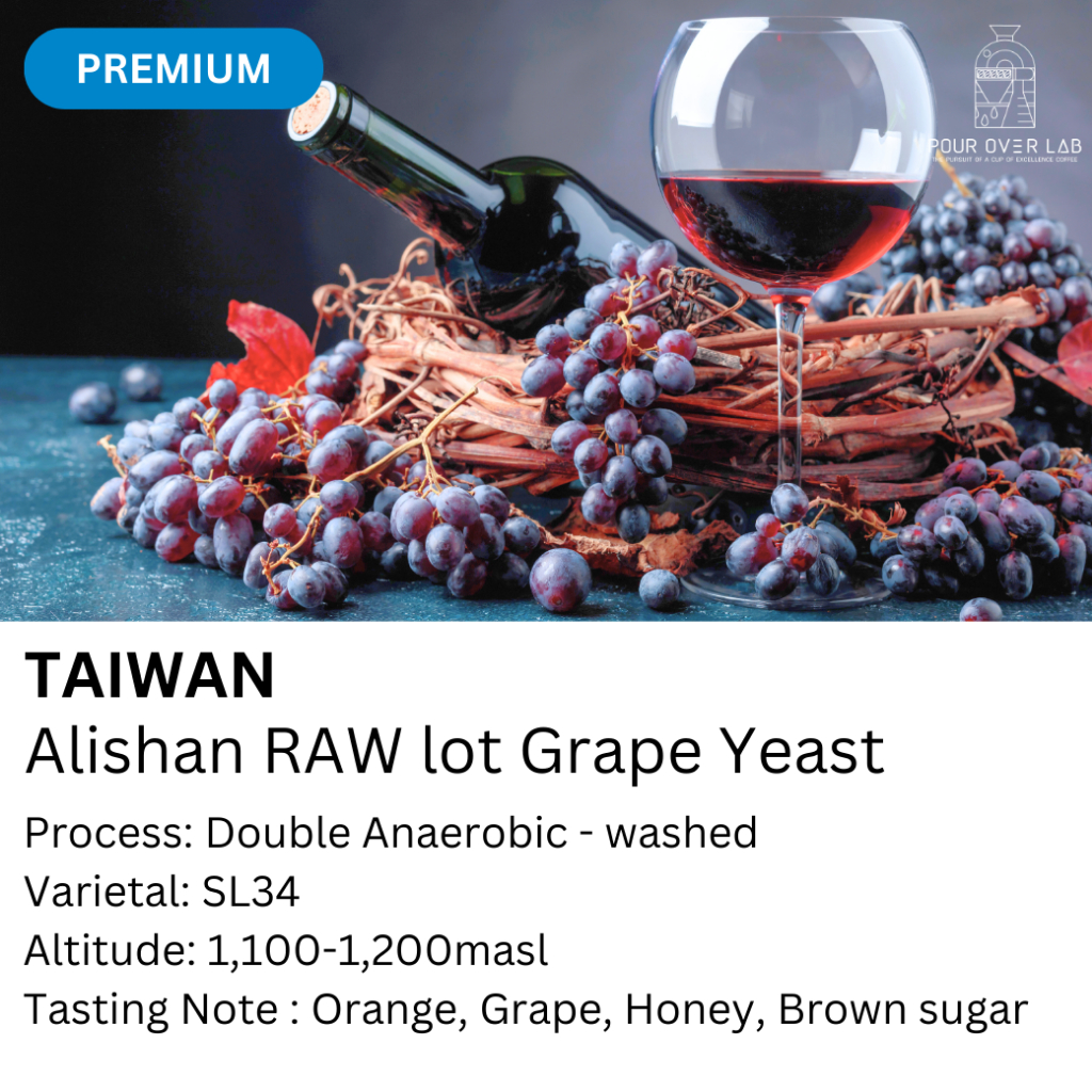 เมล็ดกาแฟ Taiwan Alishan RAW lot Grape Yeast | Shopee Thailand