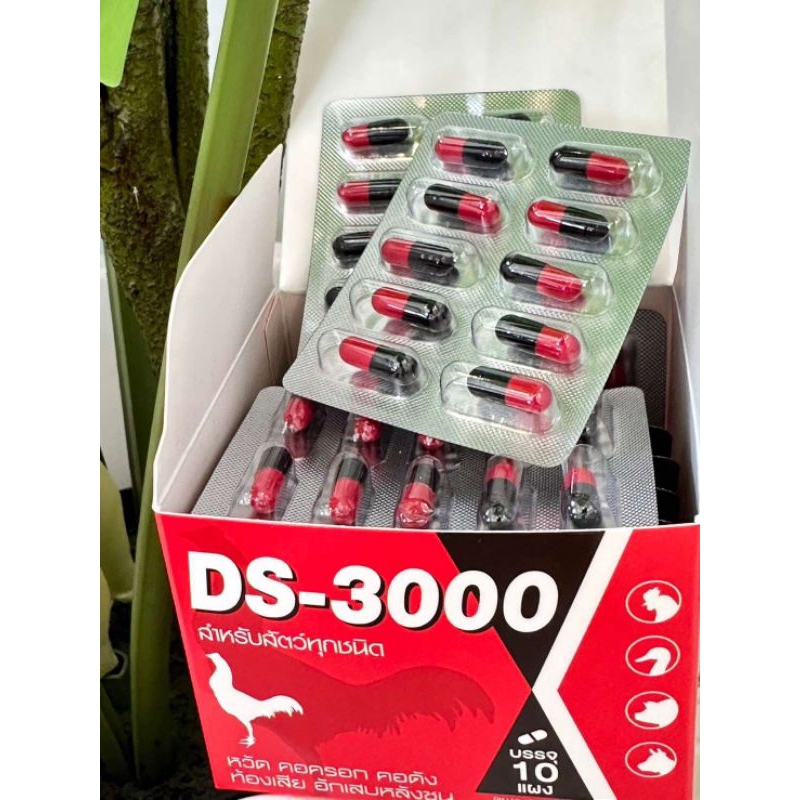 อาหารไก่ นก เม็ดแดง ดำ แดงชัวร์DS3000 หลังชน | Shopee Thailand