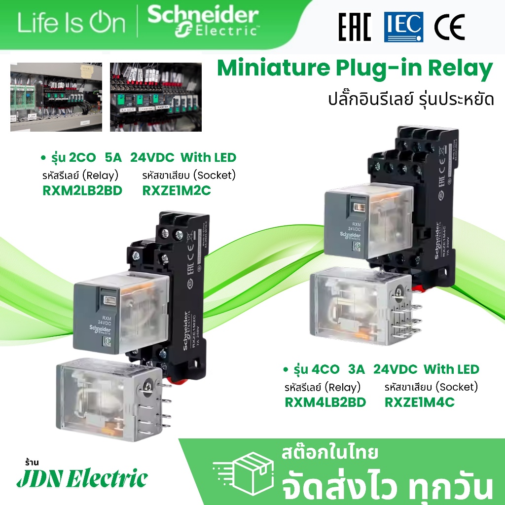24VDC RXM2LB2BD RXM4LB2BD Miniature Plug-in Relays | ปลั๊กอินรีเลย์ ...