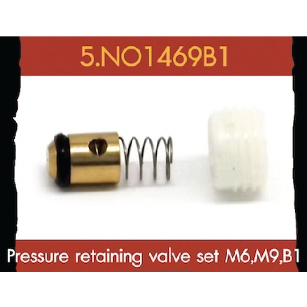 Flow Energy - NO1469B1 อะไหล่ หัวปั๊มเก่า ชุด Pressure retaining valve ...
