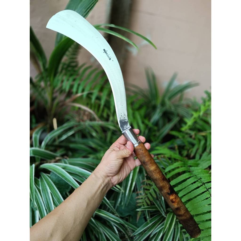 พร้าหัวปลาทู พร้าขอ มีดพร้า มีดหวด มีดทำสวน มีดทำไร่ มีดเดินป่า 13.4’’ SUP9 ตีร้อนชุบแข็ง ผิวขัด ...