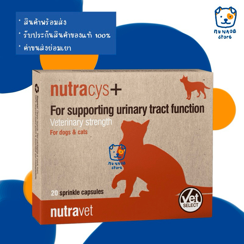 Nutracys+ อาหารเสริมบำรุงปัสสาวะ สำหรับสุนัข และแมว (หมดอายุ 01/2028 ...