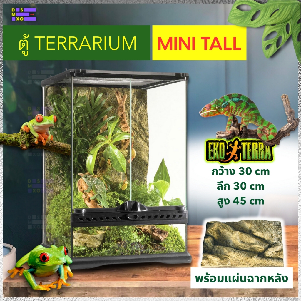 ส่งด่วน! Exo Terra Natural Terrarium Mini Tall 30×30×45cm. ตู้เลี้ยงสัตว์ แบรนด์นำเข้า มาตรฐาน ...
