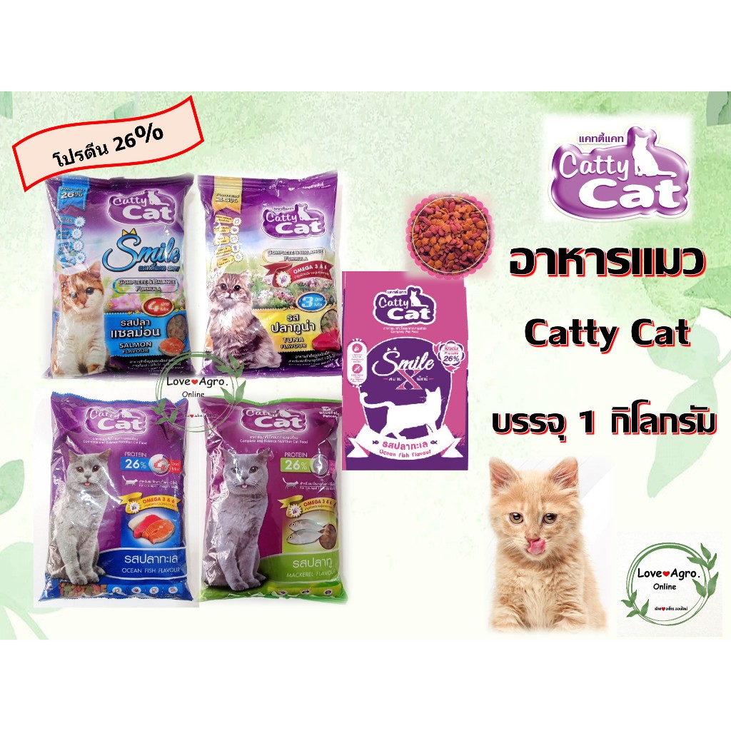 อาหารแมวราคาถูก Catty Cat แคทตี้แคท แบบเม็ด บรรจุ 1 กิโลกรัม | Shopee ...