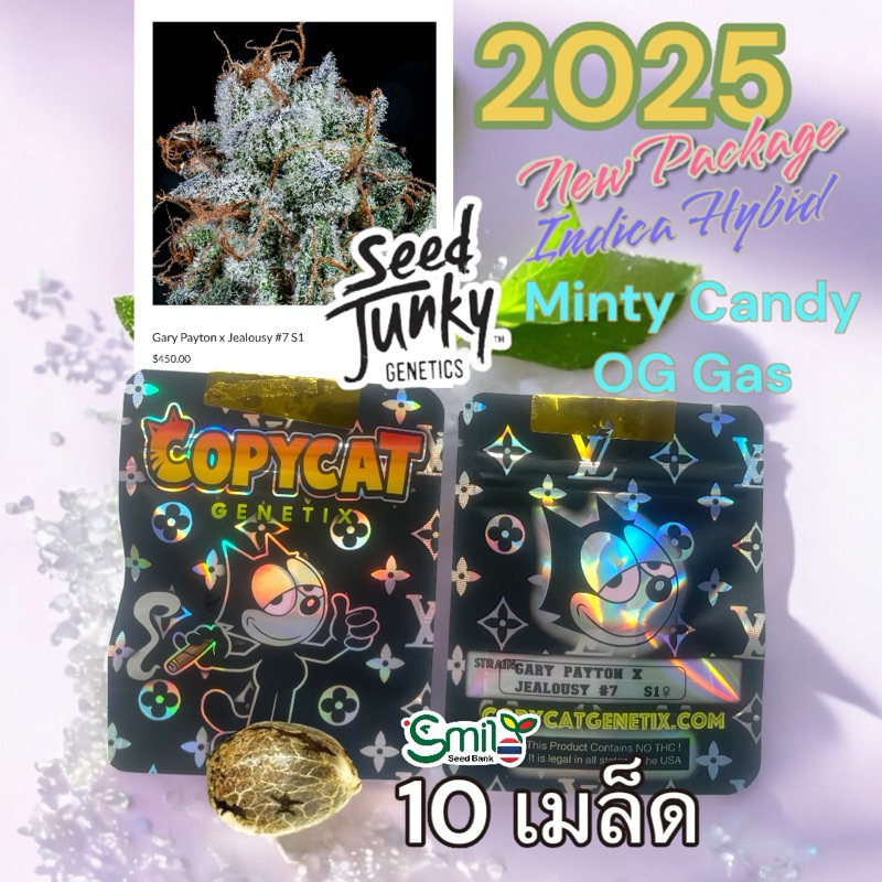 เมล็ดกัญชา Gary Payton x Jealousy #7 S1(Fem) New Package 2025 ...