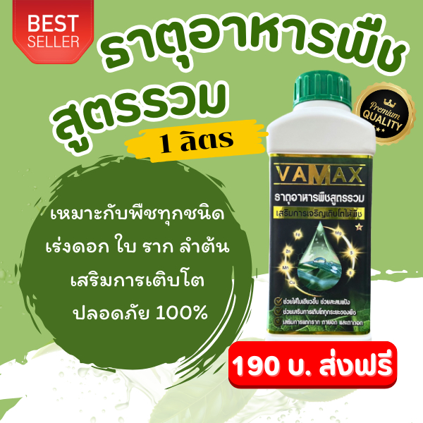 VAMAX ปุ๋ยธาตุอาหารรวม เสริมสร้างการเจริญเติบโตของพืช (ขนาด 1ลิตร) V1 ...