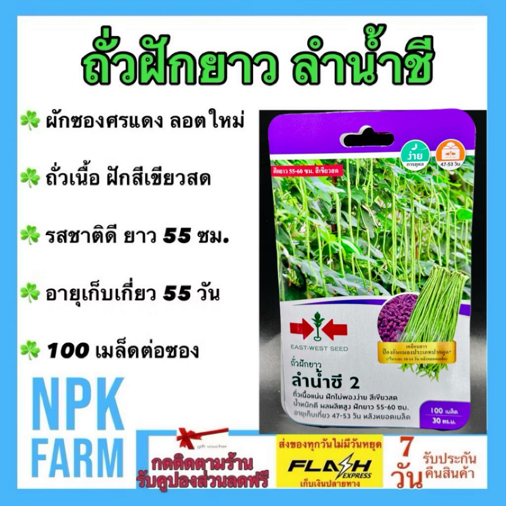 ศรแดง ถั่วฝักยาว ลำน้ำชี2 [ซอง] 30/10/2569จำนวน 100 เมล็ด ถั่วเนื้อ ฝักไม่พองง่าย สีเขียวสด ...