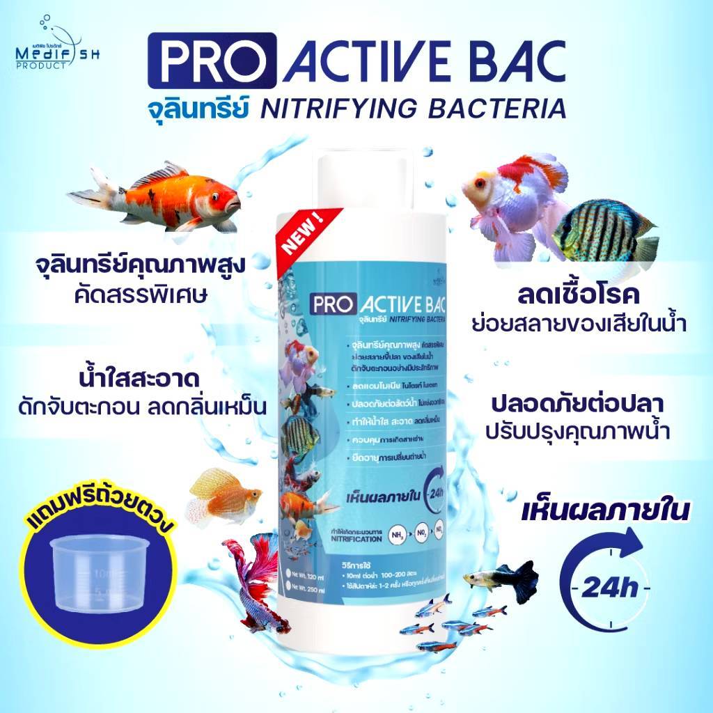 PRO ACTIVE BAC จุลินทรีย์ Nitrifying Bacteria น้ำใสสะอาด สลายของเสีย ลดเชื้อโรคในน้ำ ให้ปลา ...
