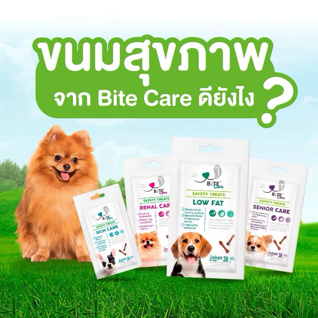 Bite Care Healthy Dog ขนมสำหรับสุนัขขนาด 38g | Shopee Thailand