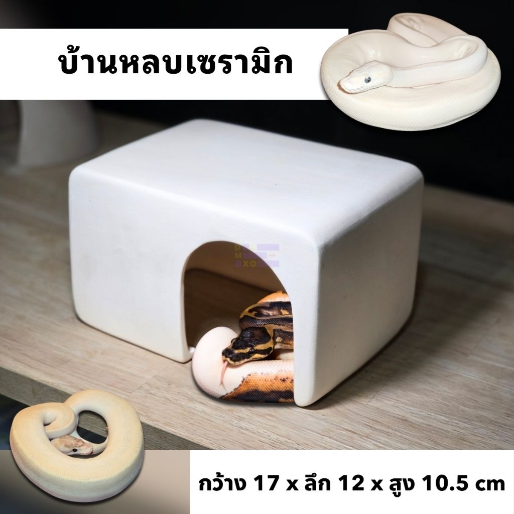 ส่งด่วน! บ้าน Hobbit Ceramic Hide Box ถ้ำเซรามิค บ้านเซรามิค ถ้ำสัตว์ ...