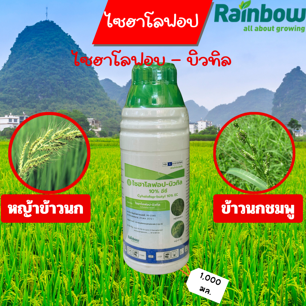ไซฮาโลฟอป-บิวทิล 1 ลิตร Cyhalofop-butyl 10% W/V EC | Shopee Thailand