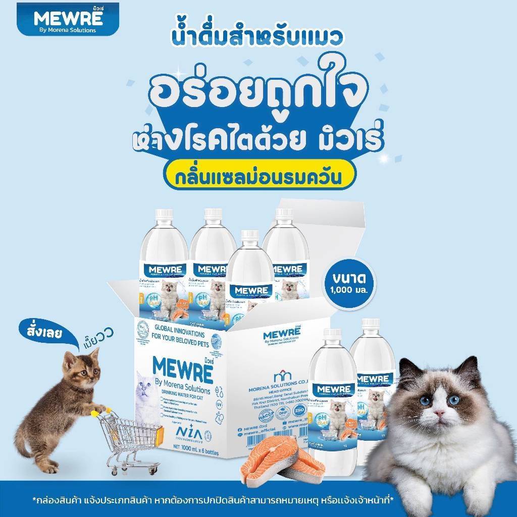 PetStern(Mewre) มิวเร่ น้ำดื่มสำหรับแมว น้ำแมว 500ml - 1L | Shopee Thailand