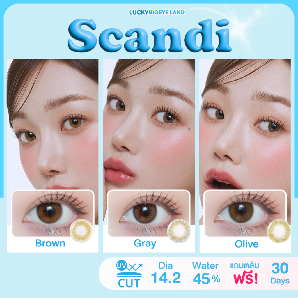 คอนแทคเลนส์ Scandi Brown / Gray / Olive (GAEzZ Secret / Sweety Soft ...