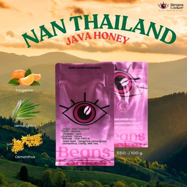กาแฟสายพันธุ์จาวา จังหวัด น่าน Thailand Nan Java Honey | Shopee Thailand