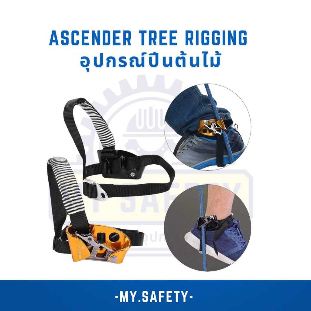 ASCENDER TREE RIGGING อุปกรณ์ปีนต้นไม้ | Shopee Thailand