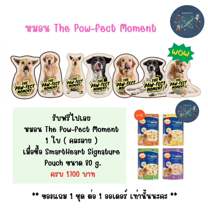 หมอน The Pow-fect Moment ของแถมเมื่อซื้อ SmartHeart Signature Pouch ...