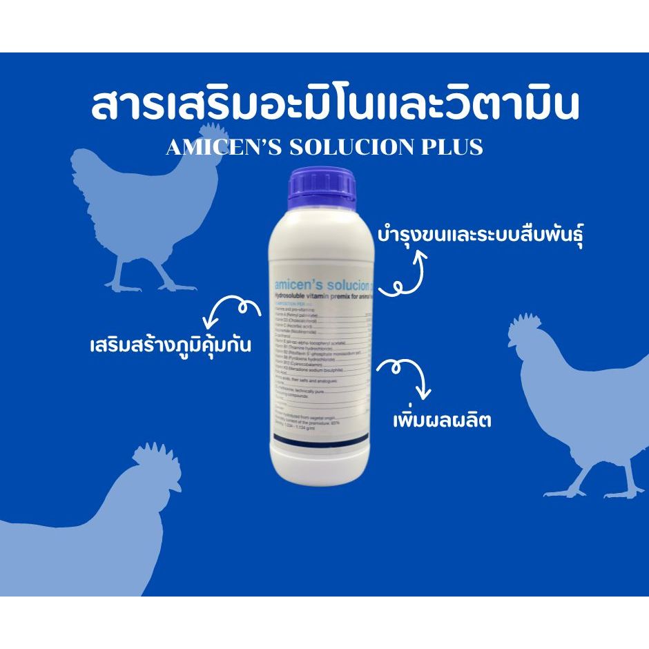 สารเสริมอะมิโนและวิตามินเข้มข้น AMICEN’S SOLUCION PLUS 1000ML | Shopee ...
