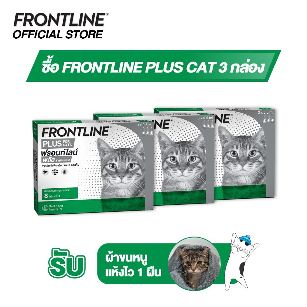 [ชุดสุดคุ้ม] Frontline Plus Cat 3 กล่อง รับผ้าขนหนูแห้งไว | Shopee Thailand