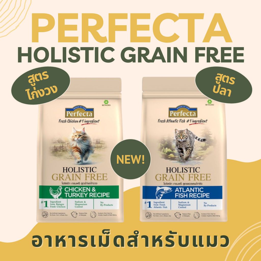 PERFECTA HOLISTIC GRAIN FREE แมวโตลูกแมว สูตร Atlantic fish / สูตรไก่ ...