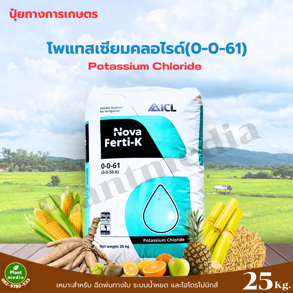 ปุ๋ย 0-0-61 ปุ๋ยเกล็ด Ferti-K (ICL fertilizer อิสราเอล) บรรจุ 25 ...