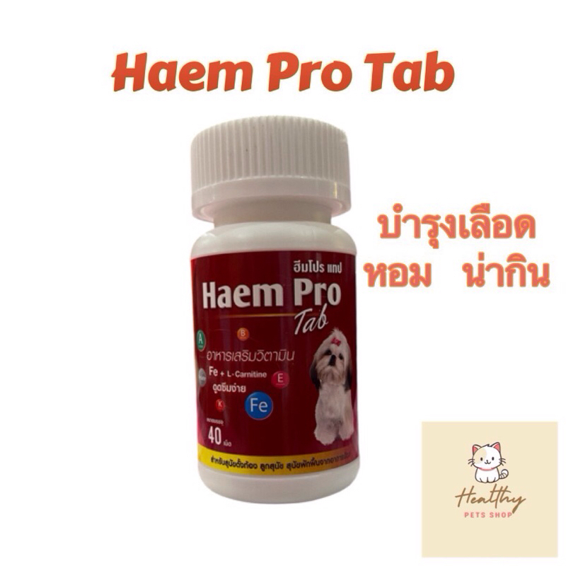 Haem Pro Tab ฮีมโปร แทป บำรุงเลือด 40 เม็ด | Shopee Thailand