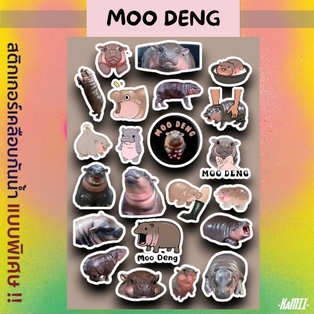Moo deng หมูเด้ง Moodeng - สติกเกอร์ เคลือบกันน้ำ - KAMII | Shopee Thailand