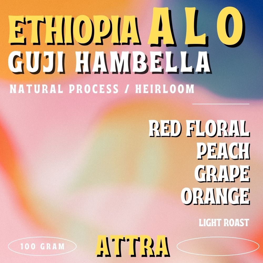 ETHIOPIA ALO NATURAL GUJI HAMBELLA 100 G | 220.- (LIGHT ROAST) | Shopee Thailand