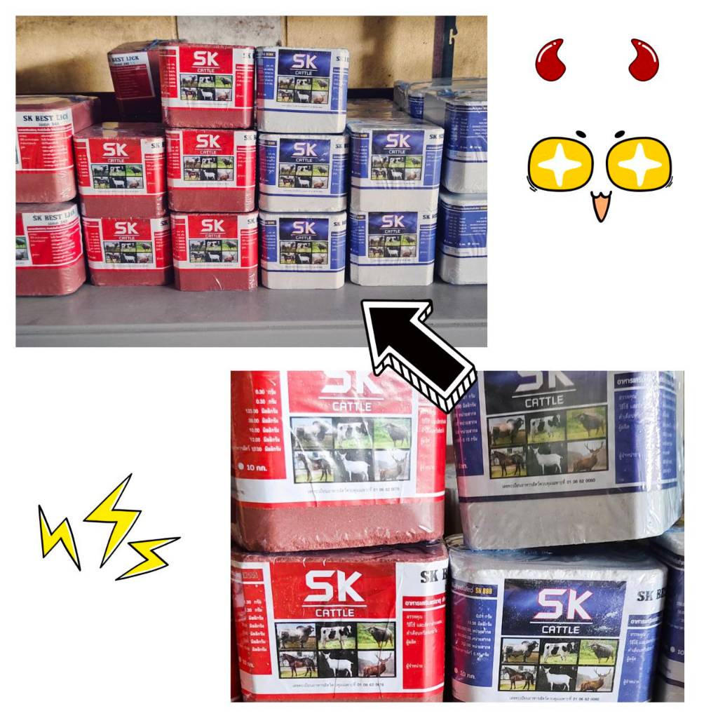 (ส่งฟรี) เกลือแร่วัว แร่ธาตุก้อน สำหรับ โคเนื้อ-โคนม-กระบือ (วัว-ควาย) ขนาด 2 และ 5 Kg. | Shopee ...