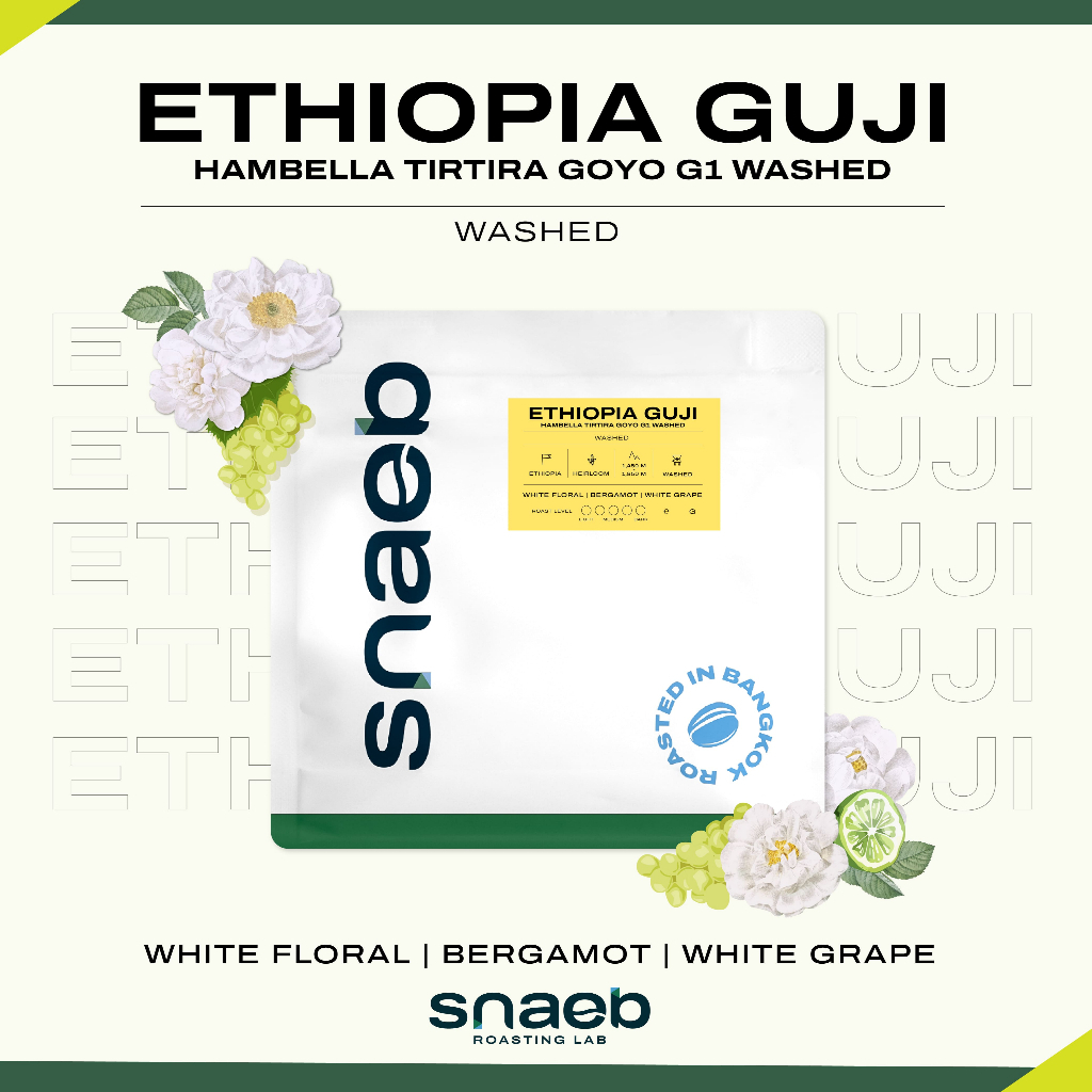 Ethiopia Guji Hambella Tirtira Goyo G1 Washed | เมล็ดกาแฟคั่ว คั่วอ่อน Snaeb Coffee | Shopee ...